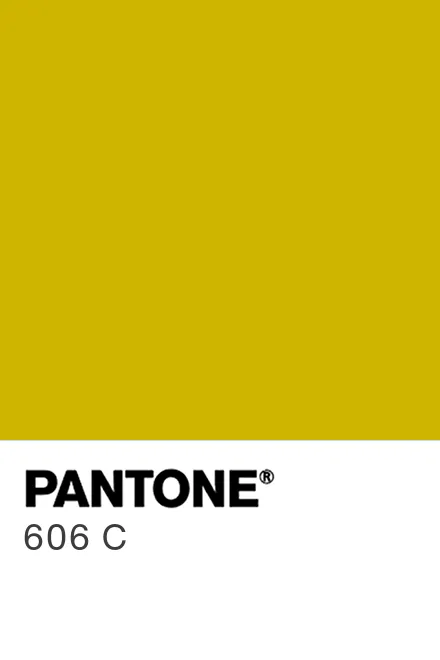PANTONE 606 C - Pantone色号库|Pantone潘通中国官网