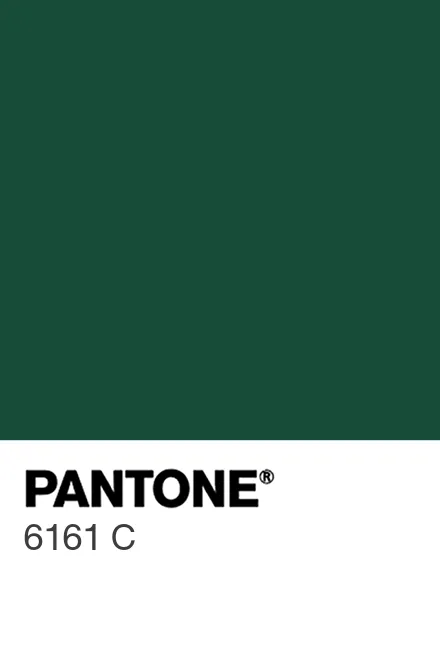 PANTONE 6161 C - Pantone色号库|Pantone潘通中国官网