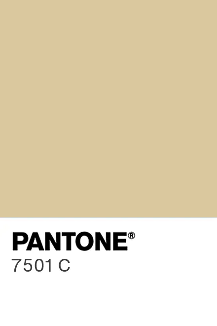 PANTONE 7501 C - Pantone色号库|Pantone潘通中国官网