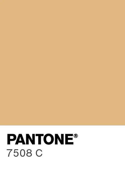 PANTONE 7508 C - Pantone色号库|Pantone潘通中国官网