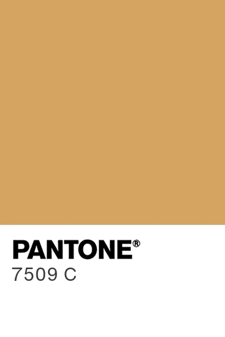 PANTONE 7509 C - Pantone色号库|Pantone潘通中国官网