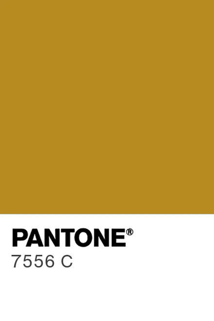 PANTONE 7556 C - Pantone色号库|Pantone潘通中国官网