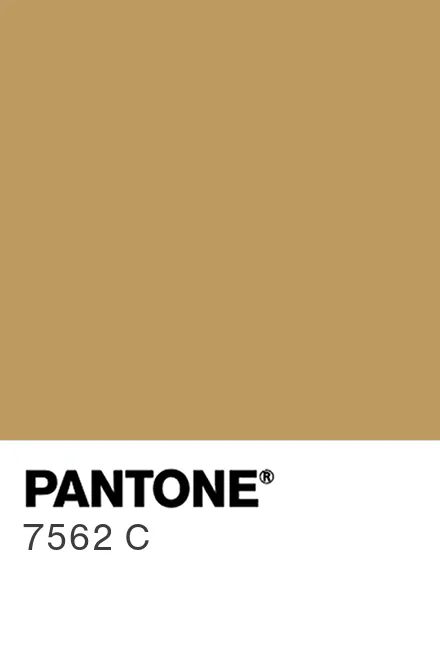 PANTONE 7562 C - Pantone色号库|Pantone潘通中国官网