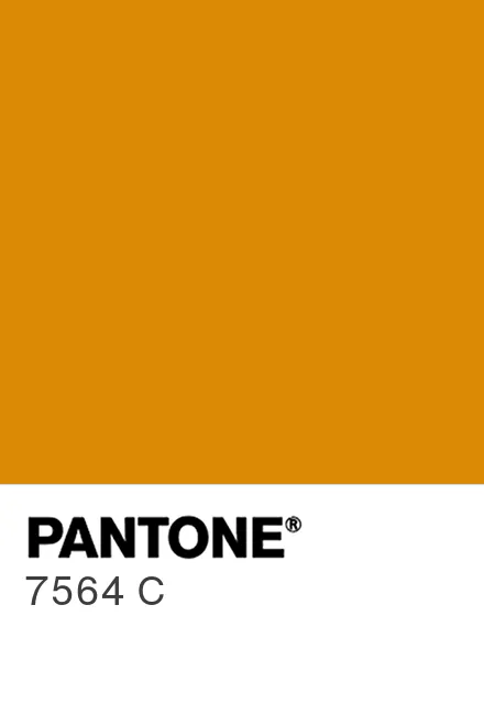 PANTONE 7564 C - Pantone色号库|Pantone潘通中国官网