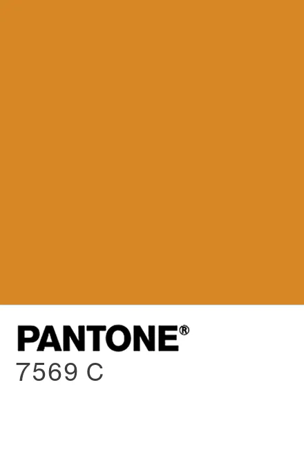 PANTONE 7569 C - Pantone色号库|Pantone潘通中国官网