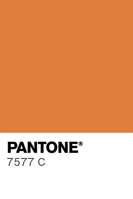 PANTONE 7577 C - Pantone色号库|Pantone潘通中国官网