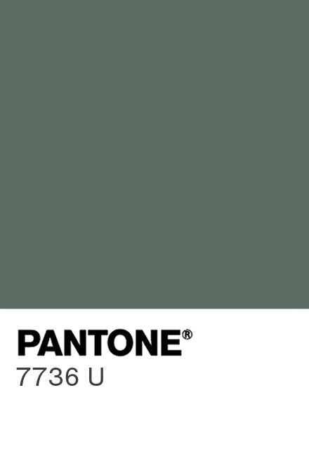 PANTONE 7736 U - Pantone色号库|Pantone潘通中国官网