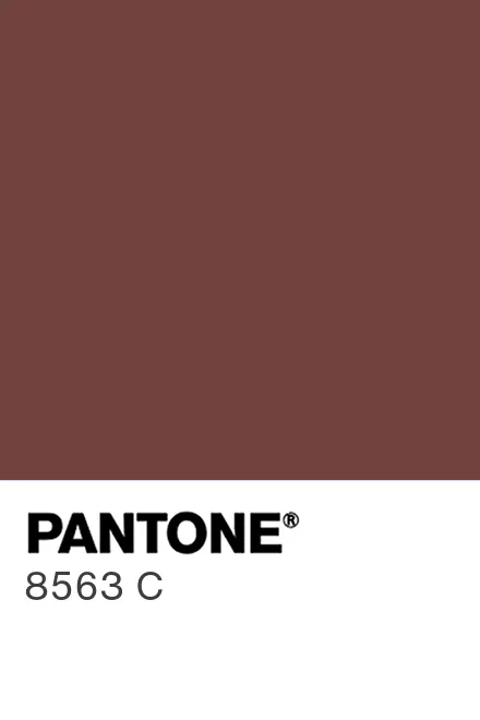 PANTONE 8563 C - Pantone色号库|Pantone潘通中国官网