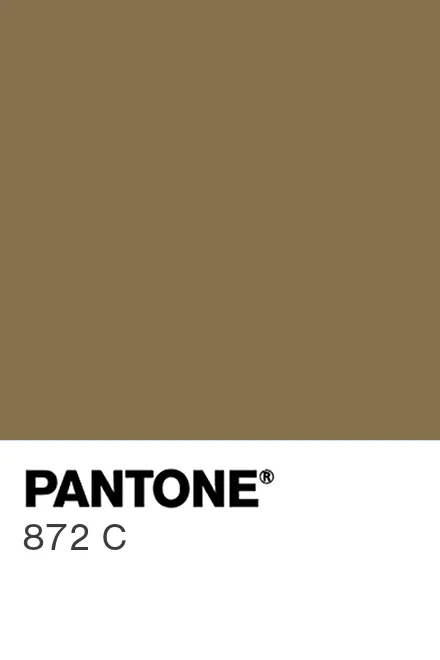 PANTONE 872 C - Pantone色号库|Pantone潘通中国官网
