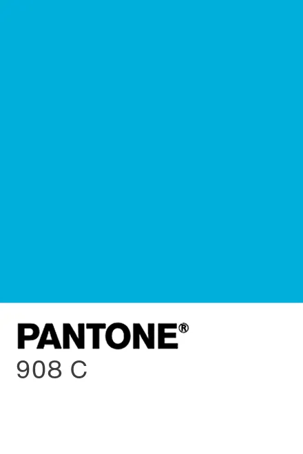 PANTONE 908 C - Pantone色号库|Pantone潘通中国官网