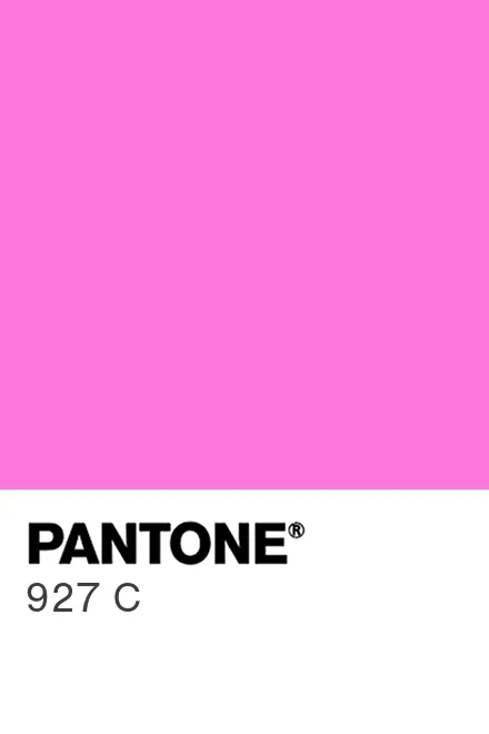PANTONE 927 C - Pantone色号库|Pantone潘通中国官网