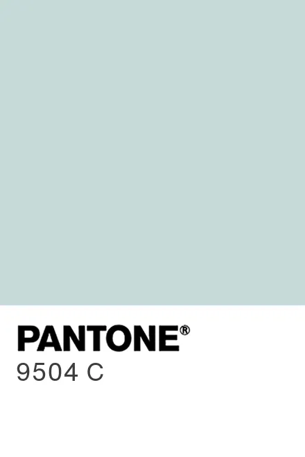 PANTONE 9504 C - Pantone色号库|Pantone潘通中国官网