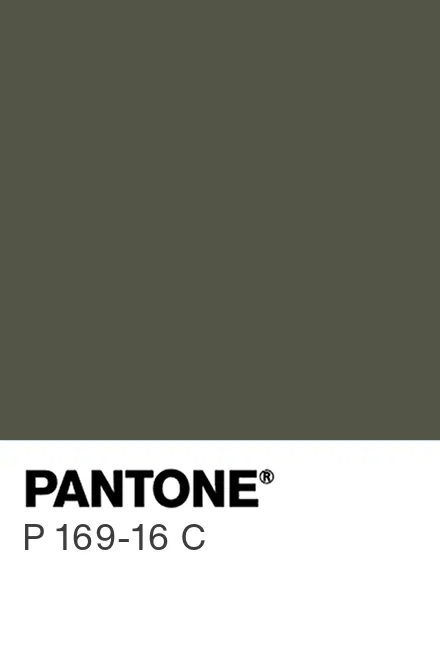 PANTONE P 169-16 C - Pantone色号库|Pantone潘通中国官网