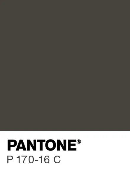 PANTONE P 170-16 C - Pantone色号库|Pantone潘通中国官网