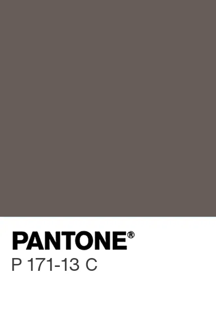 PANTONE P 171-13 C - Pantone色号库|Pantone潘通中国官网