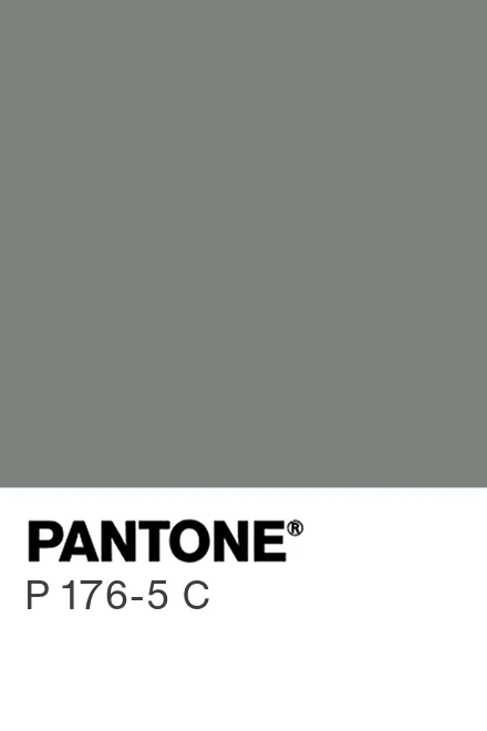 PANTONE P 176-5 C - Pantone色号库|Pantone潘通中国官网