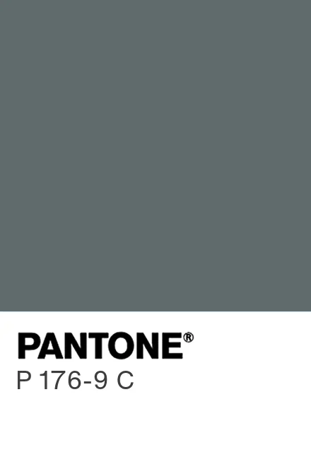 PANTONE P 176-9 C - Pantone色号库|Pantone潘通中国官网