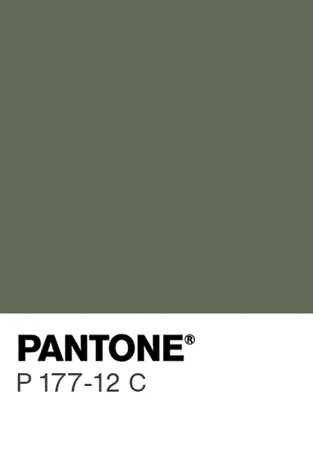 PANTONE P 177-12 C - Pantone色号库|Pantone潘通中国官网