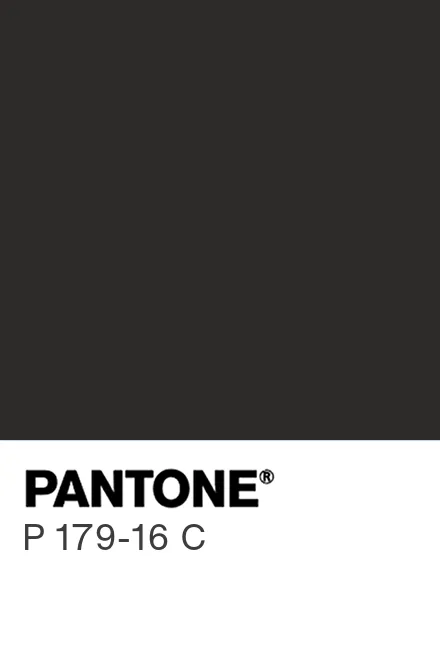 PANTONE P 179-16 C - Pantone色号库|Pantone潘通中国官网