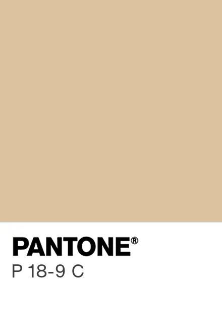 PANTONE P 18-9 C - Pantone色号库|Pantone潘通中国官网