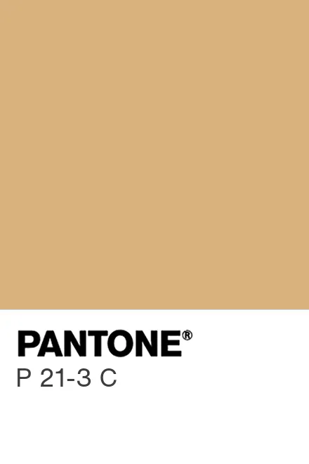 PANTONE P 21-3 C - Pantone色号库|Pantone潘通中国官网