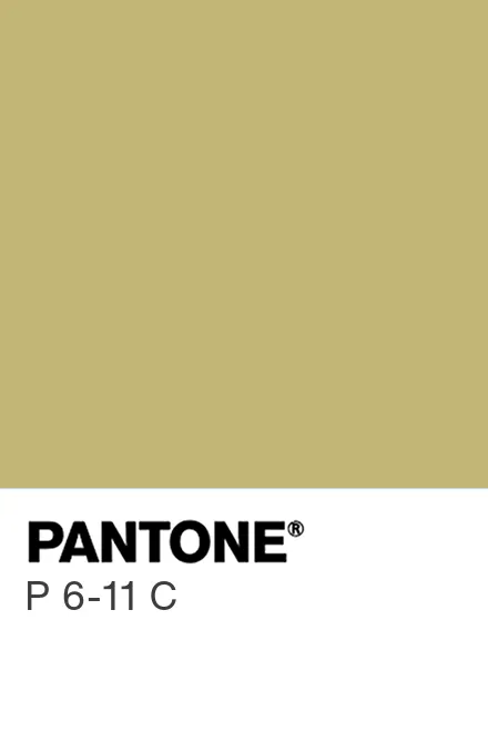 PANTONE P 6-11 C - Pantone色号库|Pantone潘通中国官网