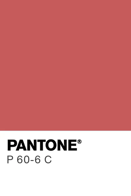 PANTONE P 60-6 C - Pantone色号库|Pantone潘通中国官网