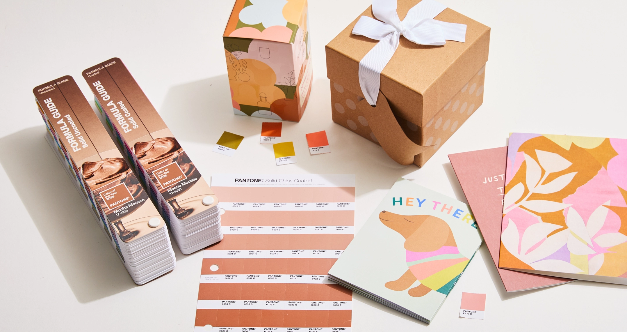 Pantone Color of the Year 2025|Pantone潘通中国官网