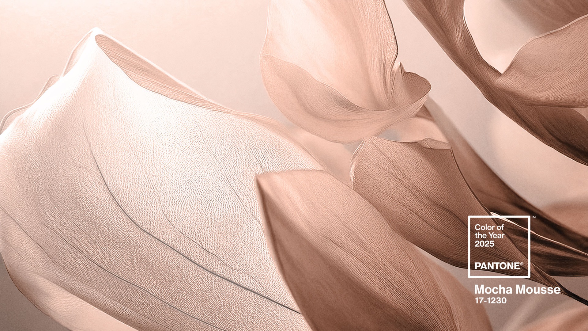 Pantone Color of the Year / Wallpaper|Pantone潘通中国官网